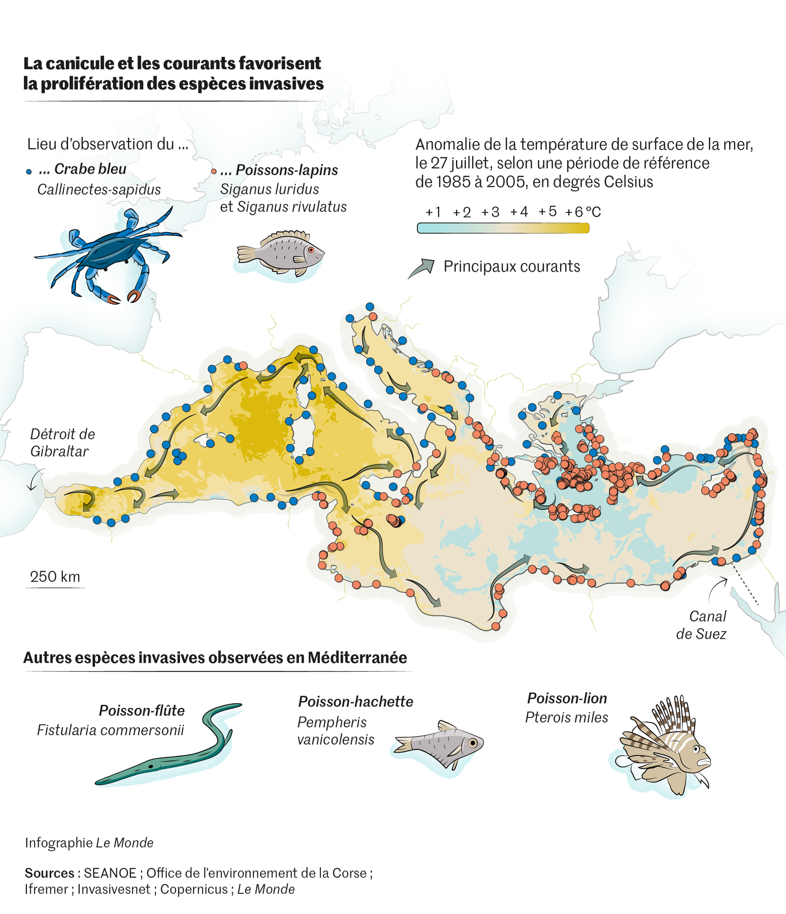 Avec le réchauffement climatique, les espèces invasives s’invitent en ...