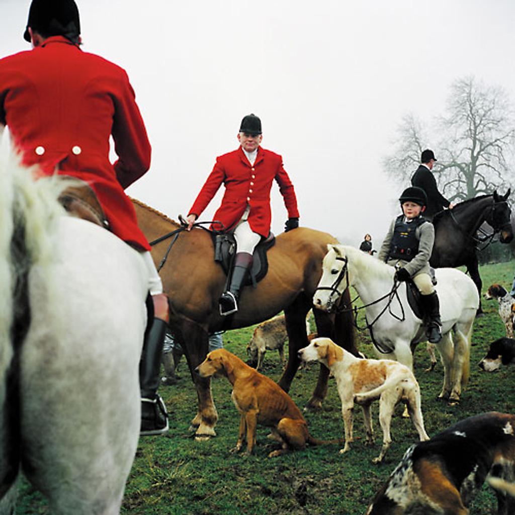Chasse à courre en Angleterre : fin de partie