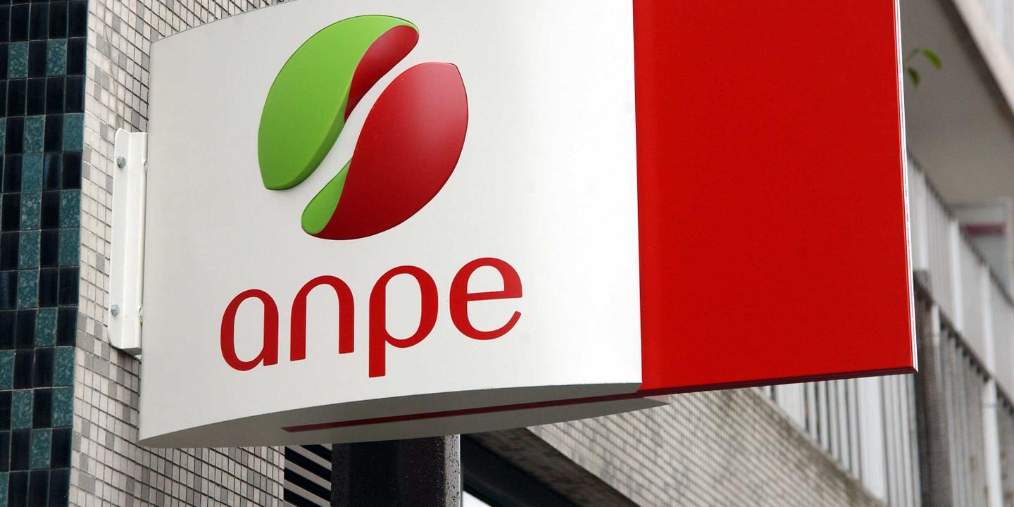 ANPE : la Cour des comptes critique le fonctionnement du service public ...