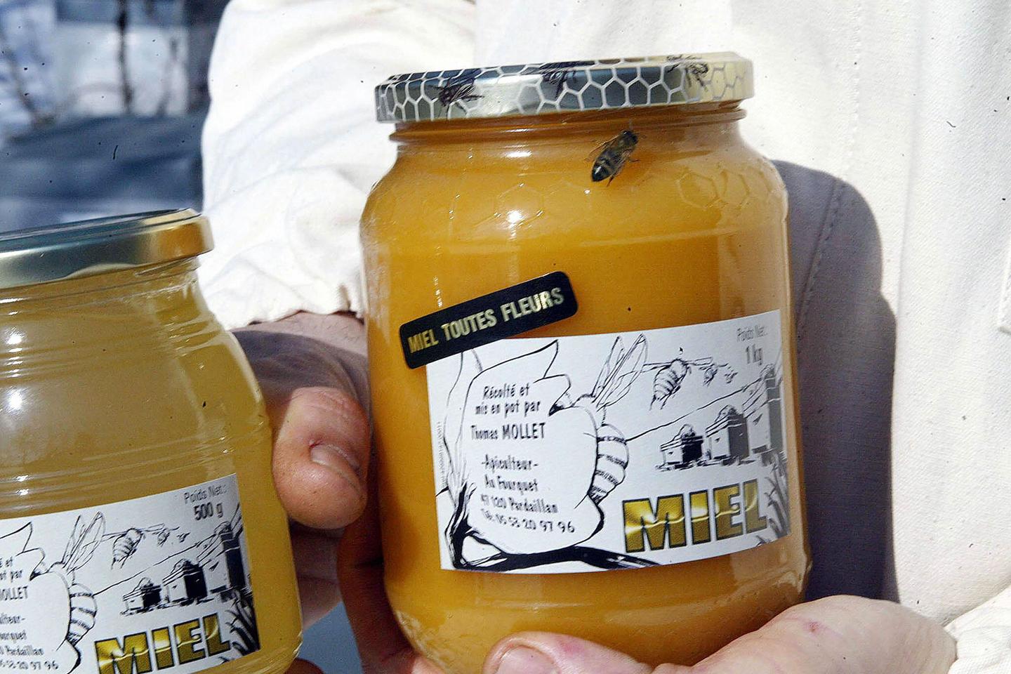 Les anti-OGM dénoncent à nouveau les problèmes de contamination