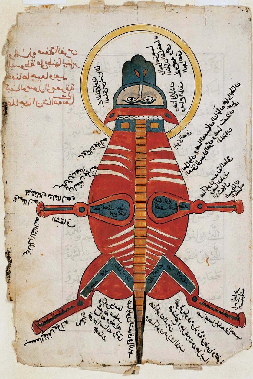 Les sciences arabes dévoilées à l'Institut du monde arabe
