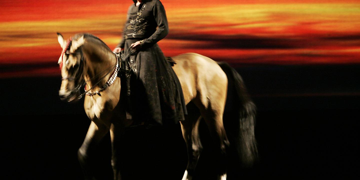 Bartabas dévoile son nouveau spectacle à Istanbul