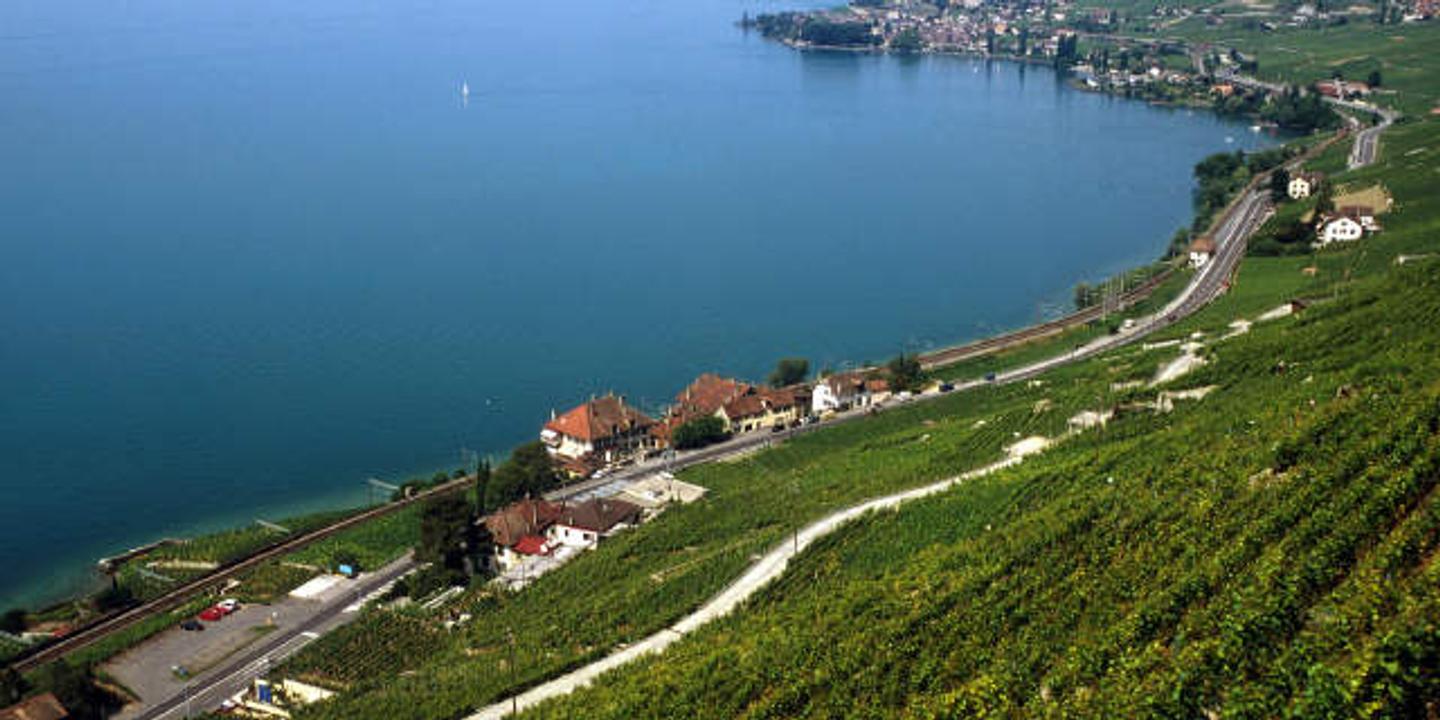 Au bord du lac Léman