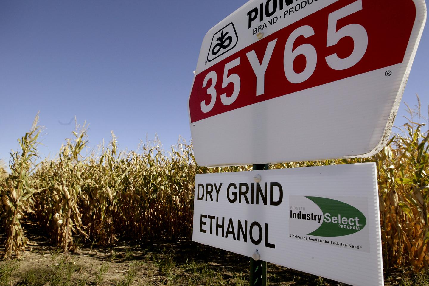 Un agrocarburant alternatif à l'éthanol proposé par une équipe américaine