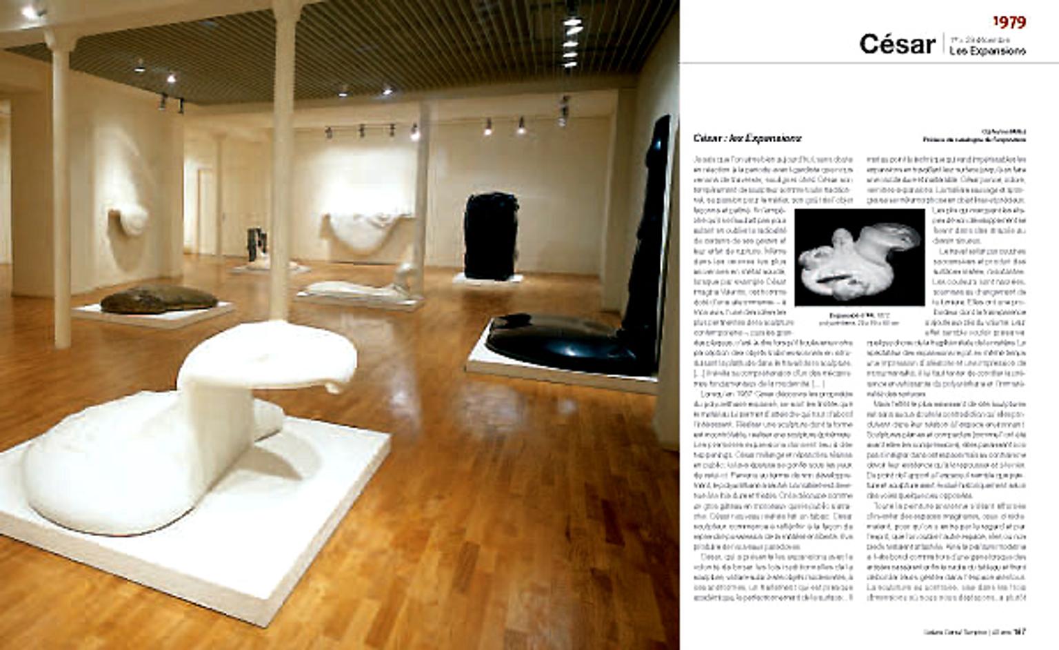 La galerie Daniel Templon : 40 ans d'histoire(s)