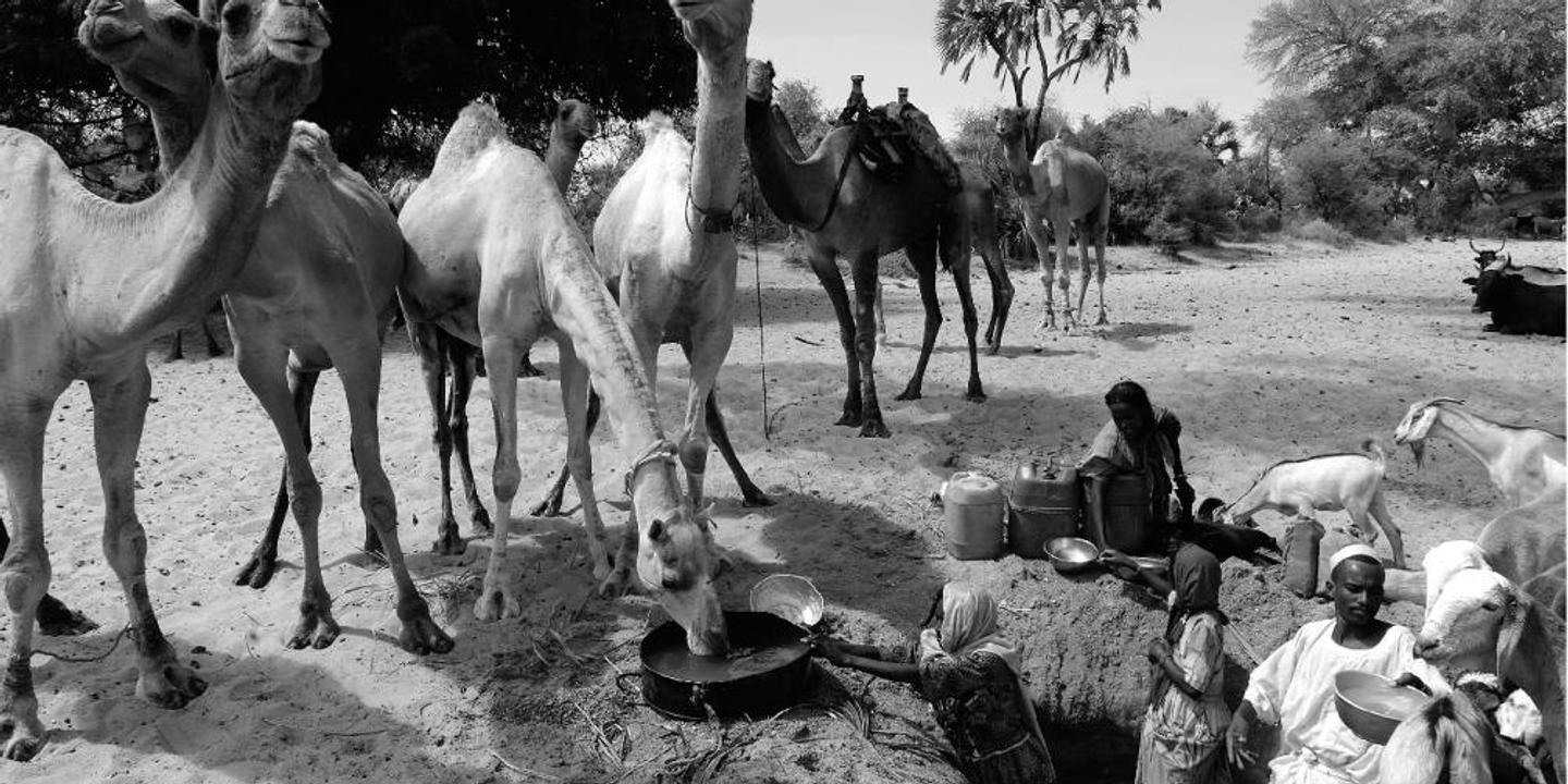 Au Darfour, les Arabes dans le piège janjawid