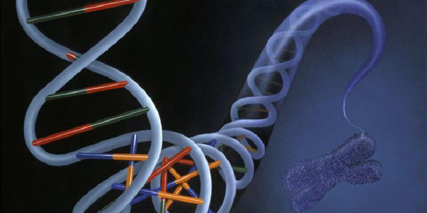 Le séquençage du génome humain ouvre la voie à la médecine personnalisée