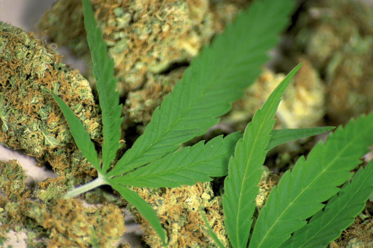 Saisie en Espagne de 32 tonnes de haschich