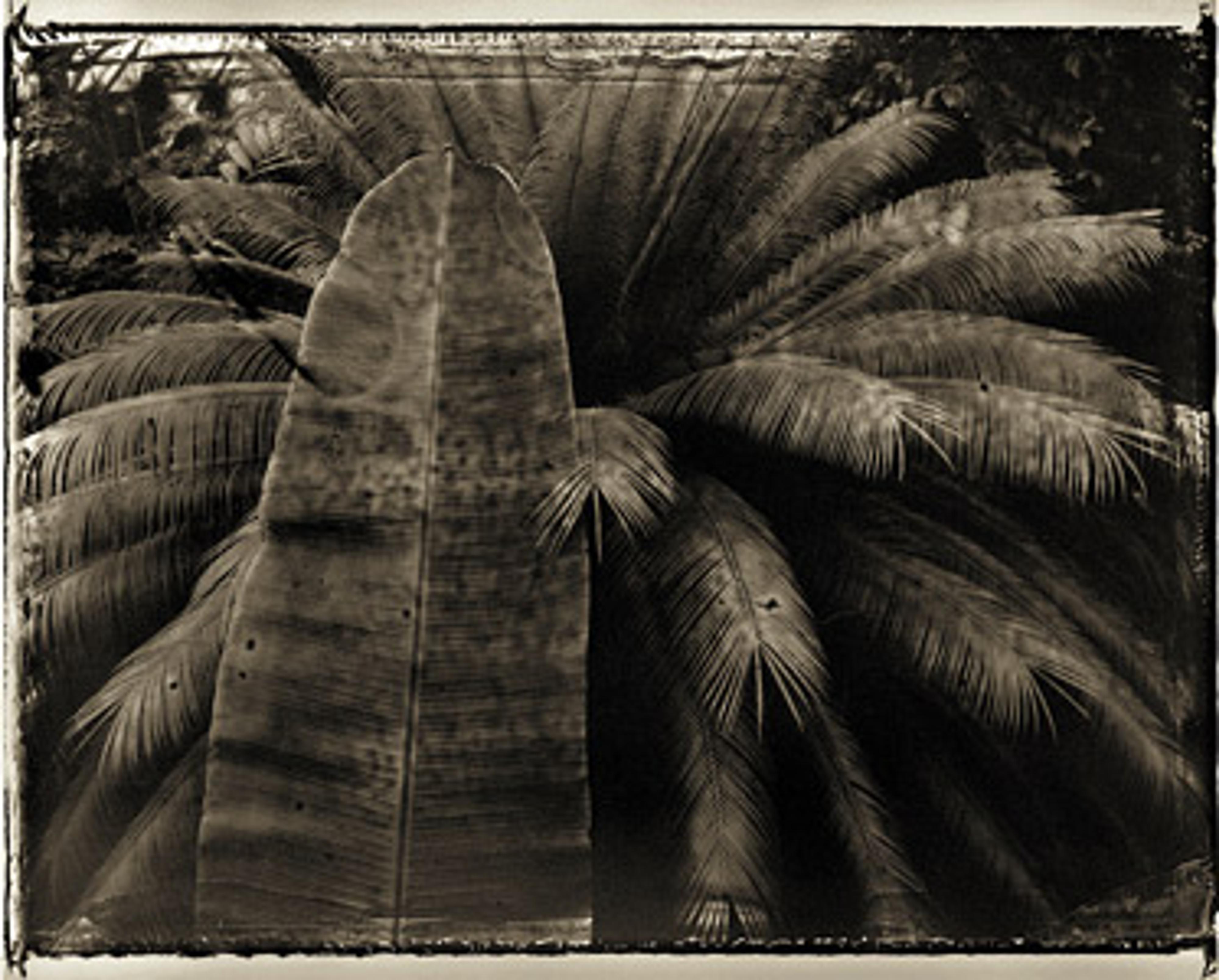 "Le Monde 2" : Sarah Moon, une artiste de la photographie