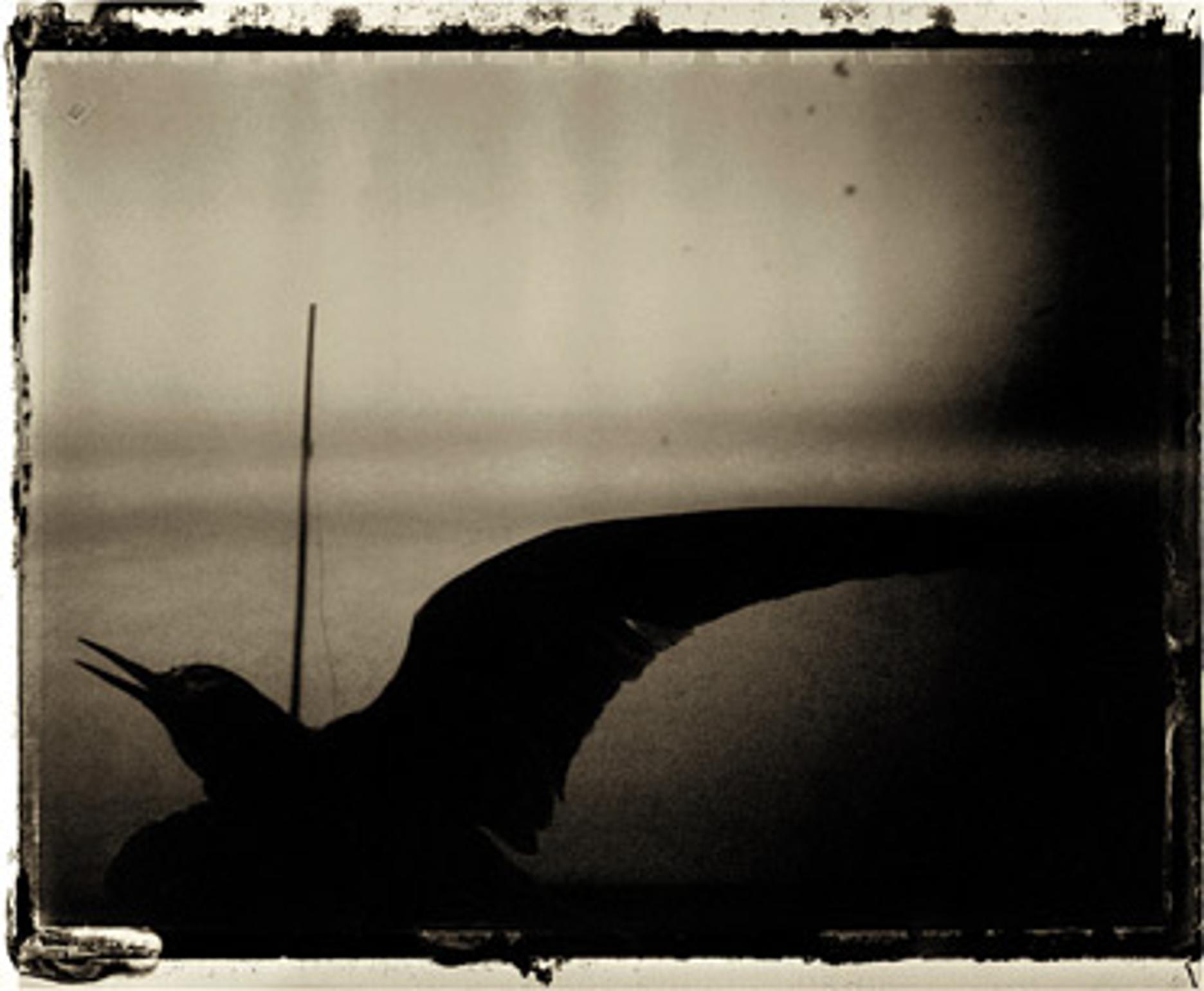 "Le Monde 2" : Sarah Moon, une artiste de la photographie