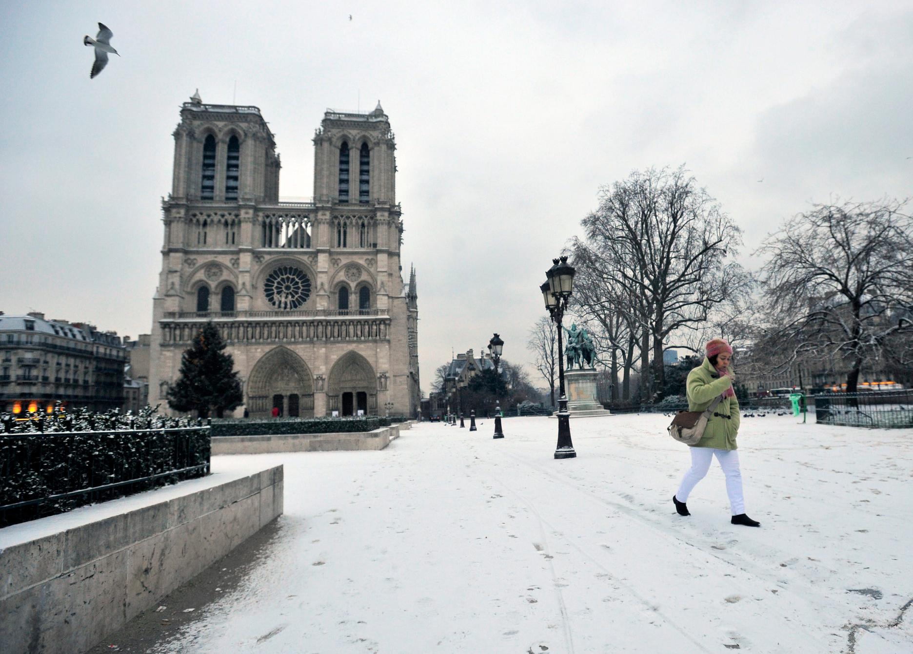 Paris sous la neige