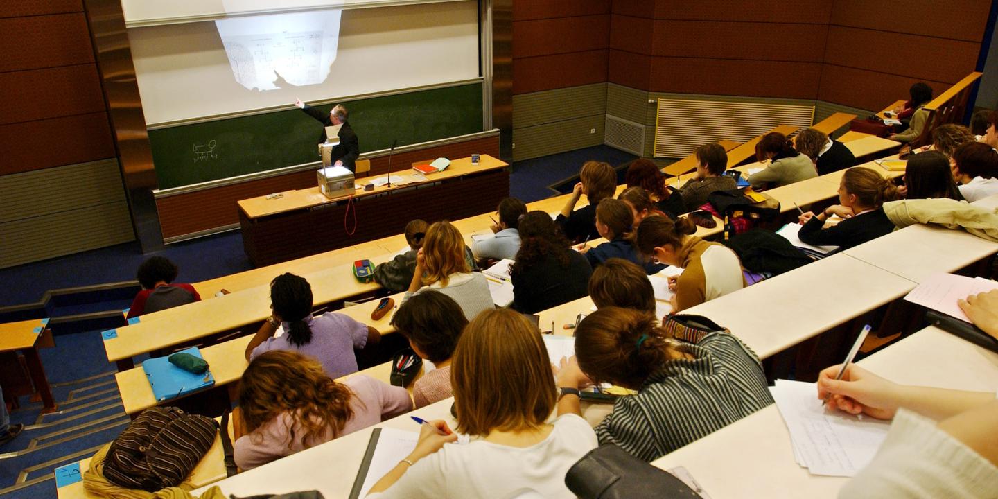 Quels débouchés pour les filières universitaires