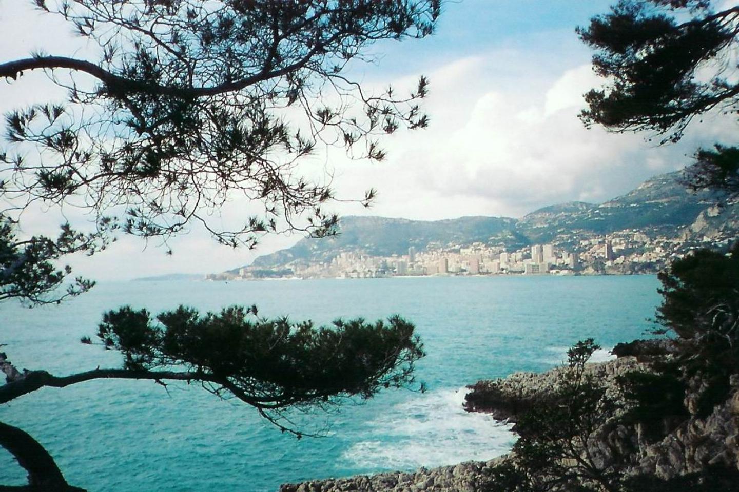 Les maux de la Méditerranée auscultés à la loupe