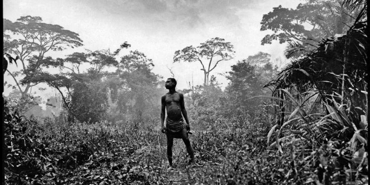 Les Pygmées racontés par l'ADN