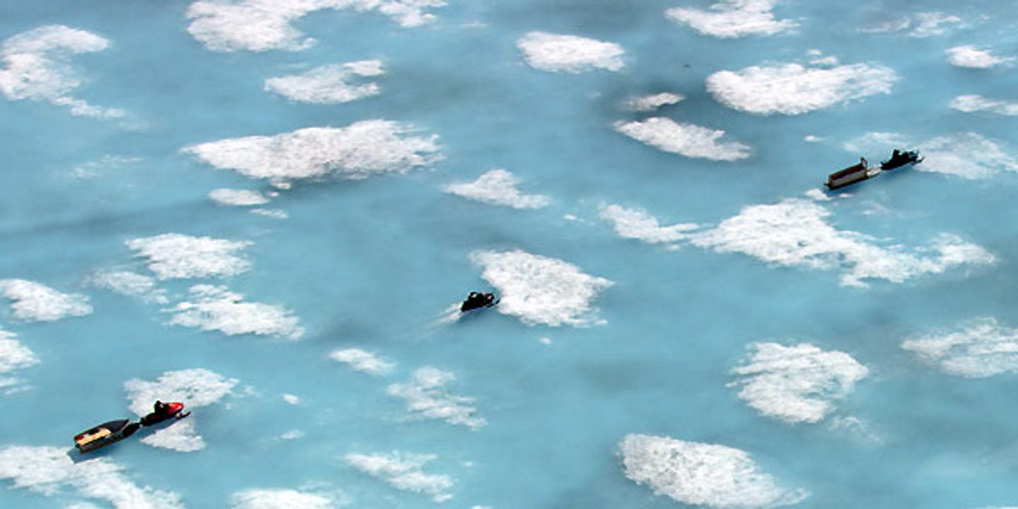 Envol réussi pour "Home", le film de Yann Arthus-Bertrand