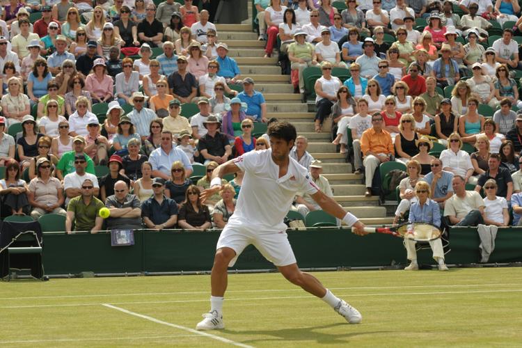Wimbledon : Tsonga éliminé, Soderling et Federer se retrouvent