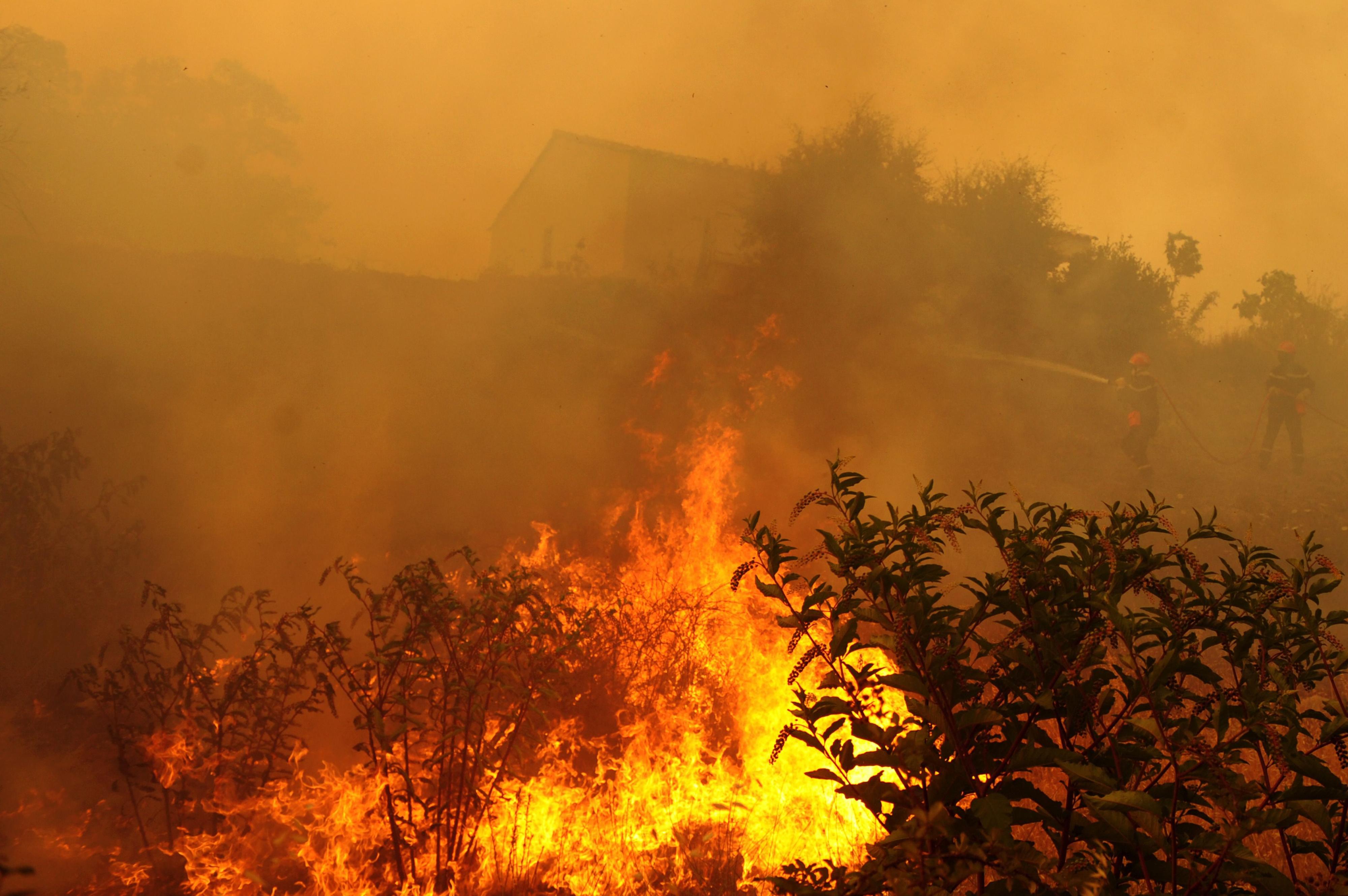 Entre 5 500 et 6 000 hectares de forêt partis en fumée en Corse-du-Sud