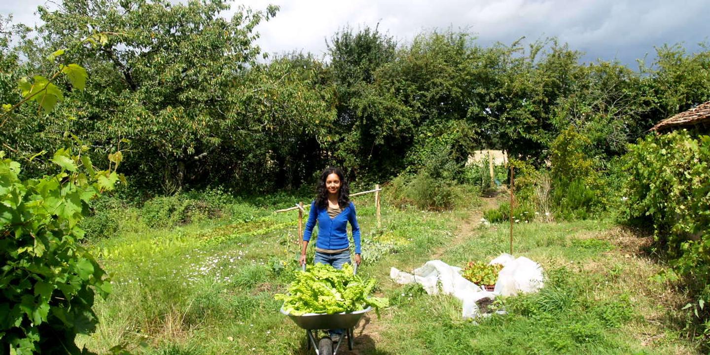 Le wwoofing ? Tout sauf des vacances