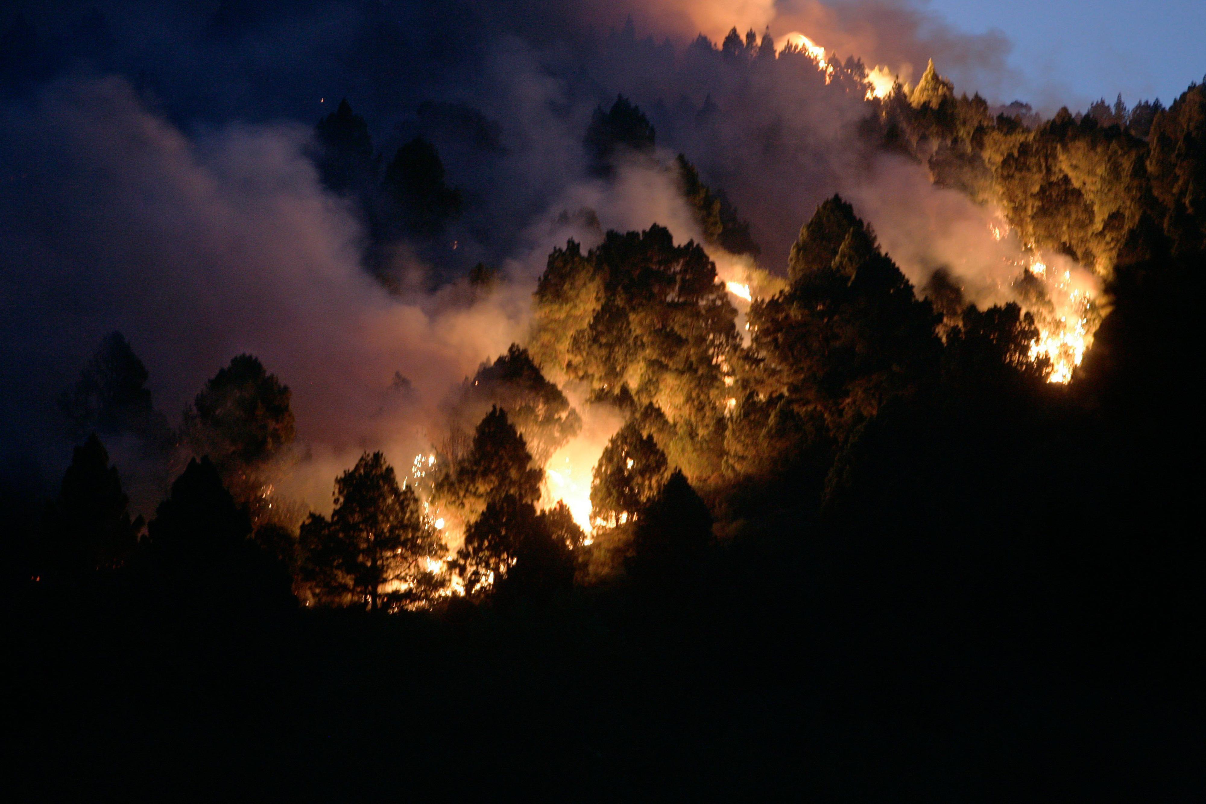 Les incendies de forêt en Espagne et en Grèce continuent de faire des ...