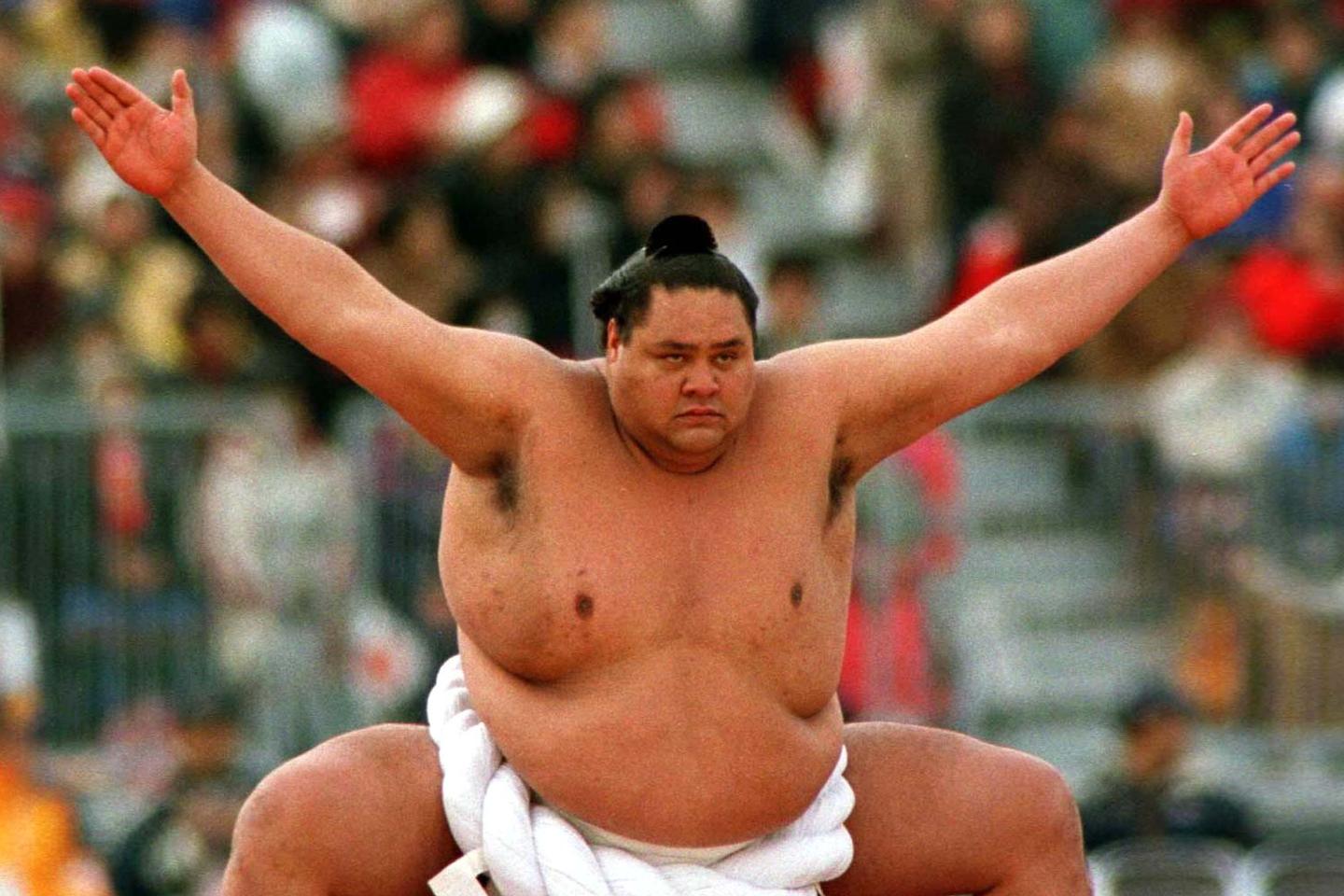 Le sport dans tous ses états : les Sumo Olympics
