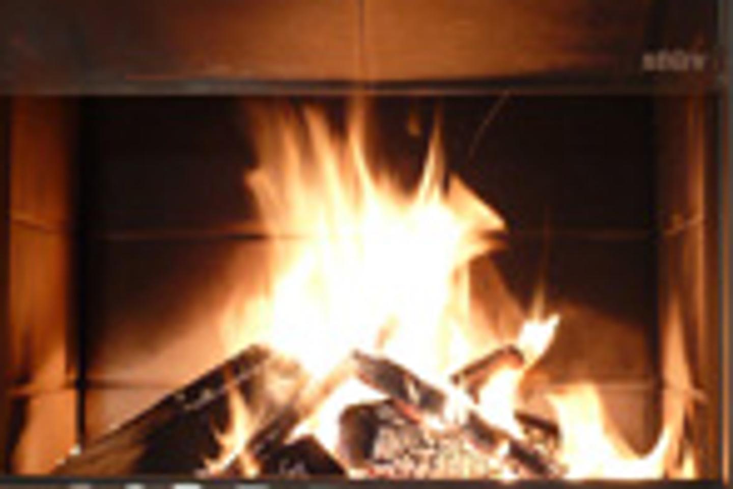 "Le cru et le cuit", et le boucané