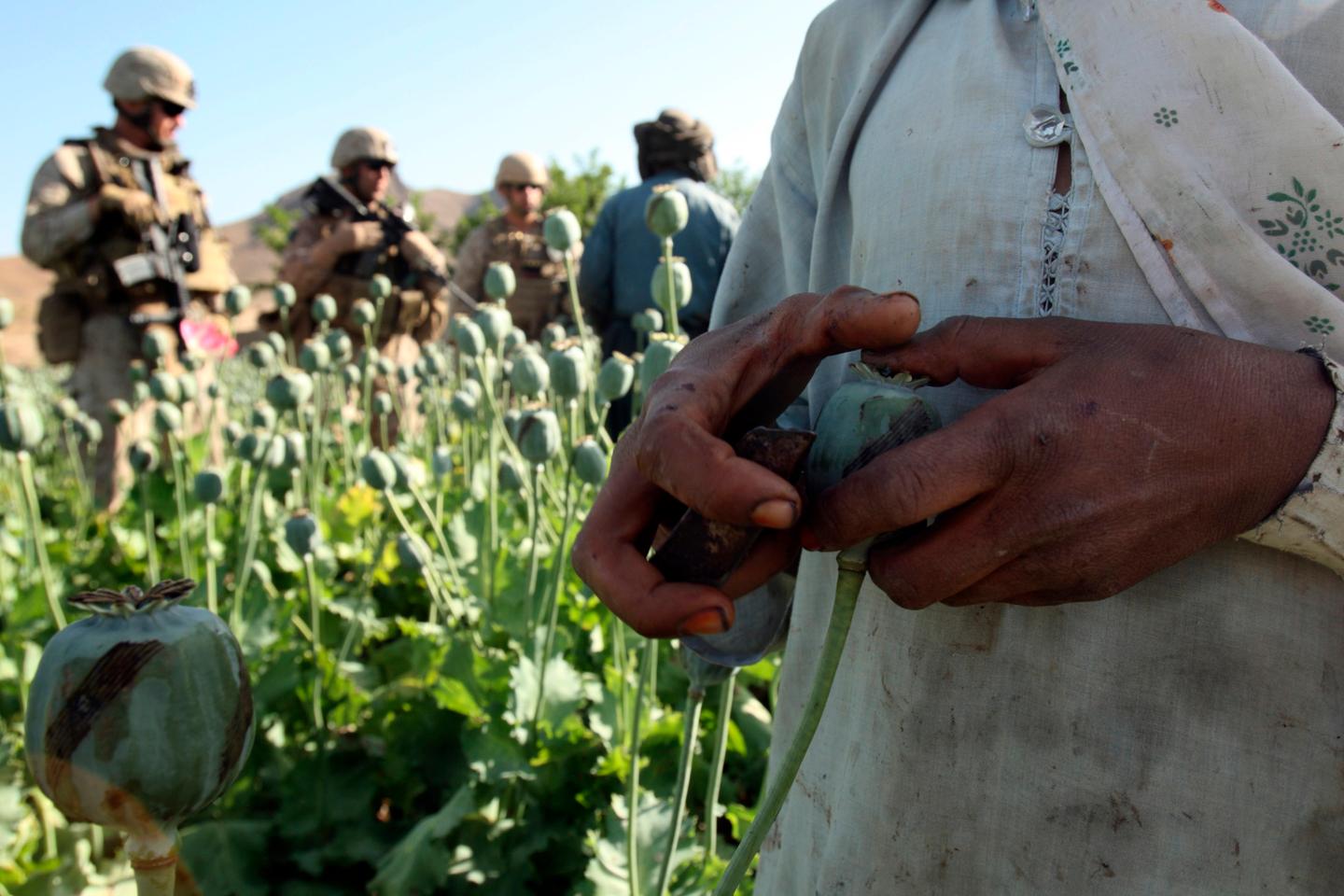 Les mafias menacent l'ordre mondial selon l'ONU