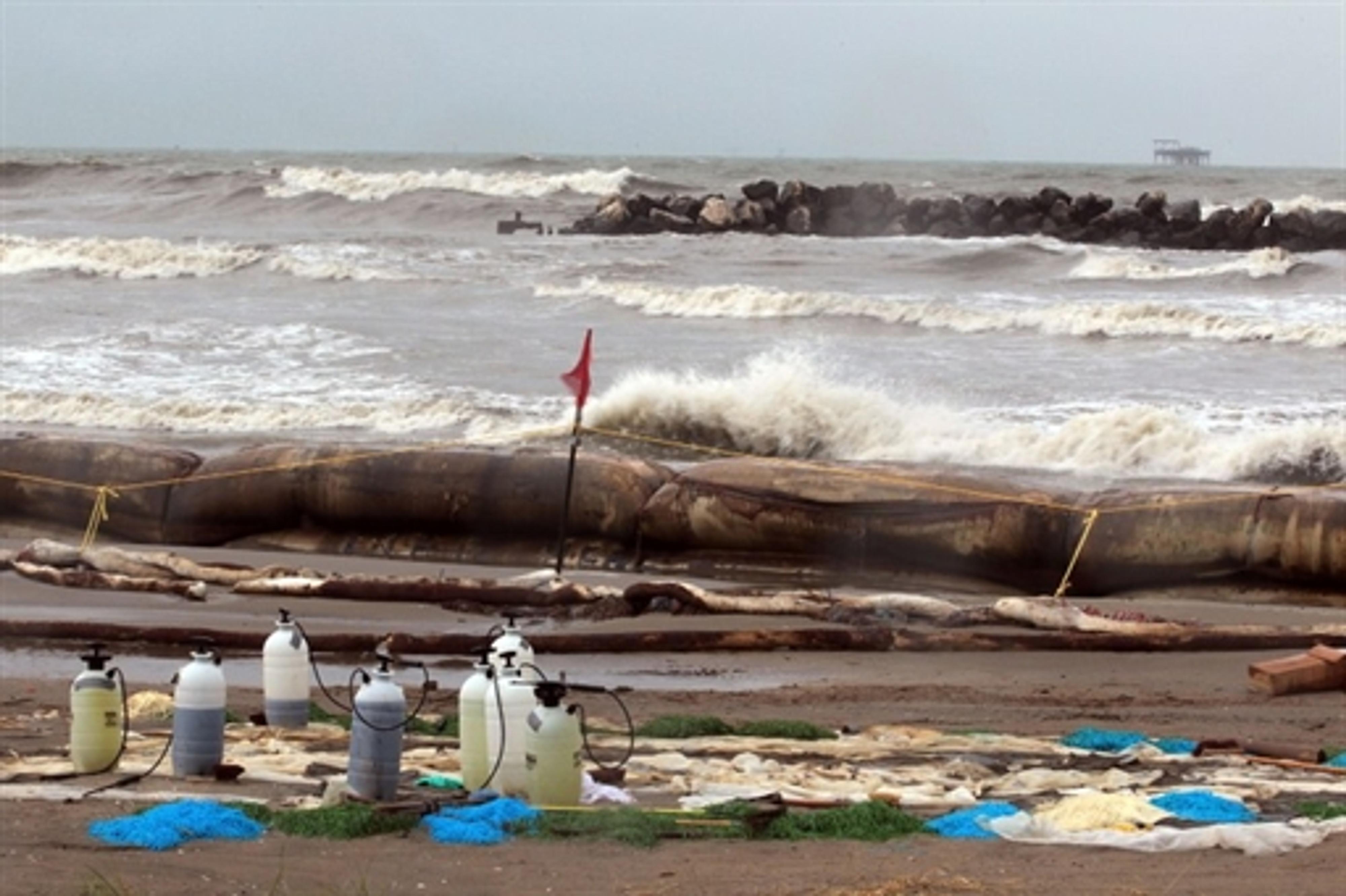 L'ouragan Alex a fait près de 15 morts en Amérique centrale