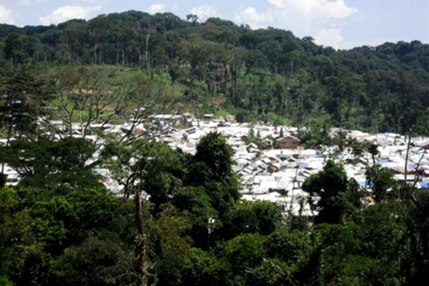 Le Brésil et la France vont aider les pays du bassin du Congo à ...
