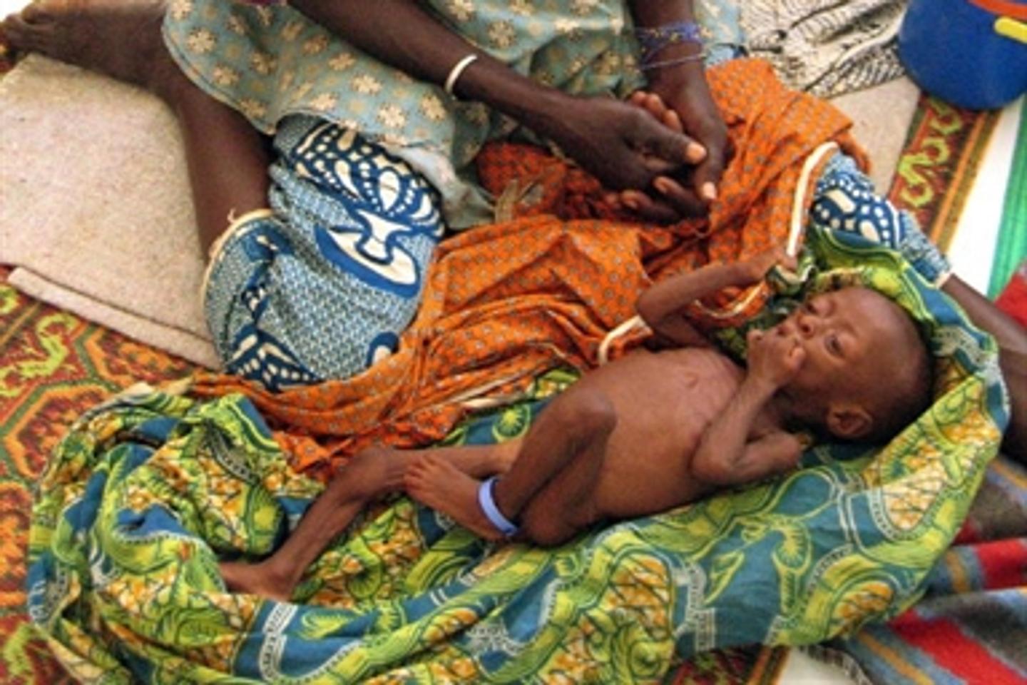 Au Niger, 7 millions de personnes souffrent de la faim