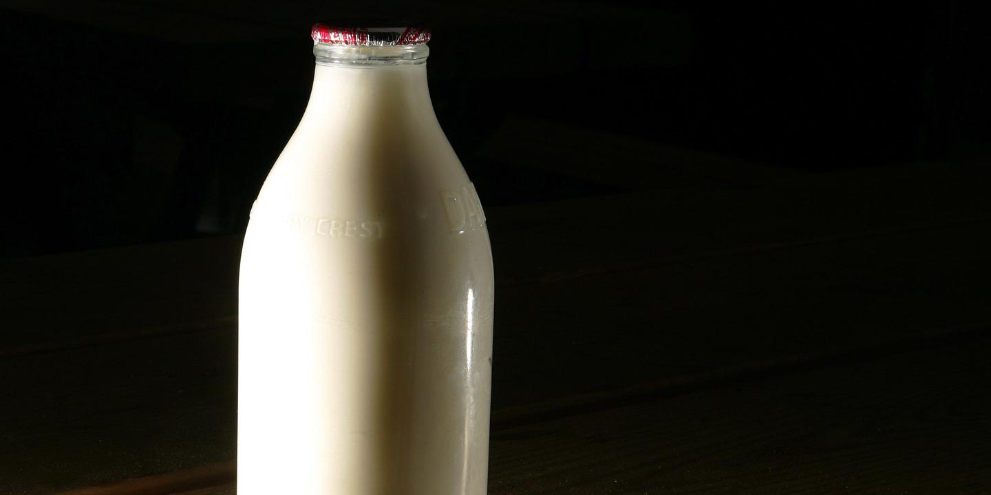 Le lait coule à flots