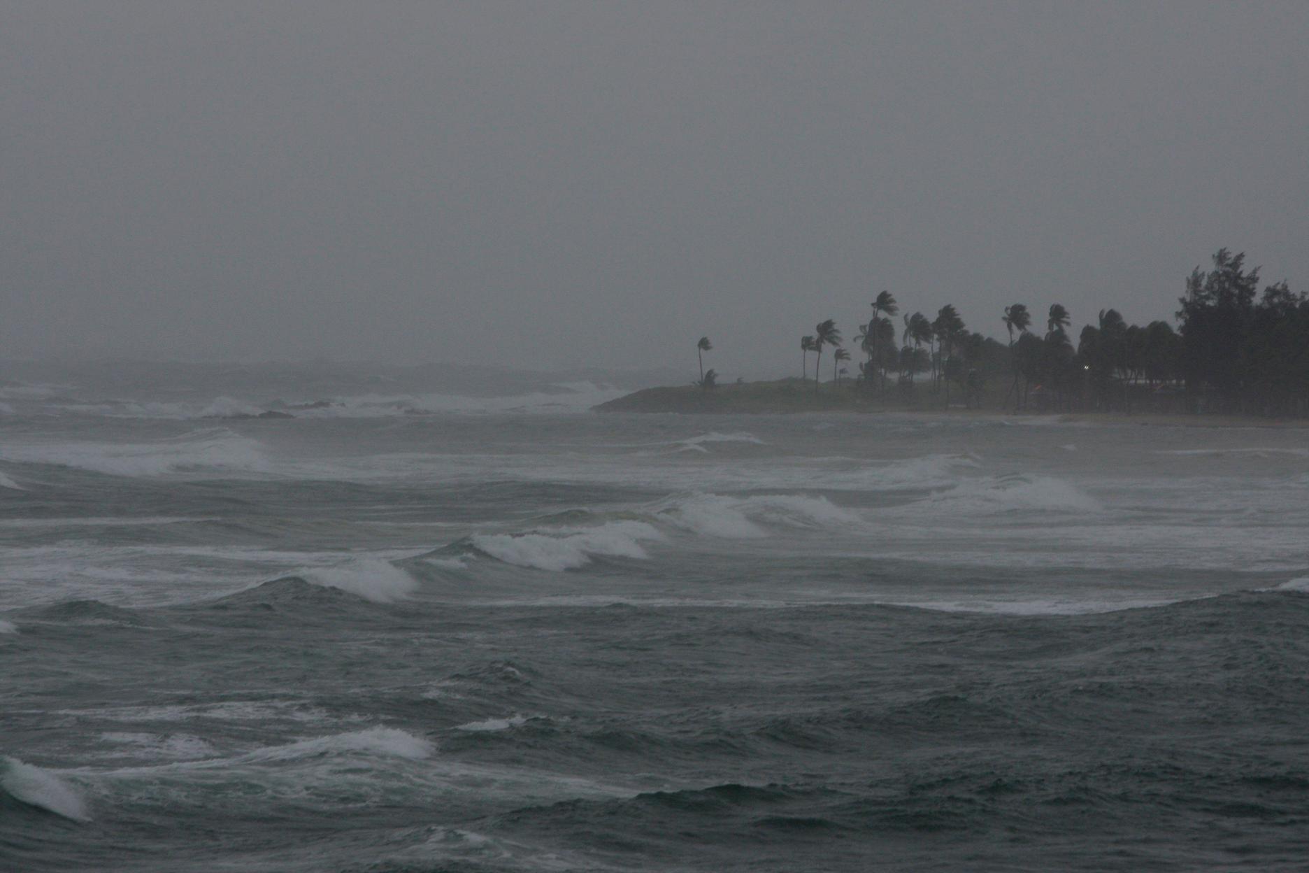Chutes d'arbres et maisons inondées après le passage du cyclone