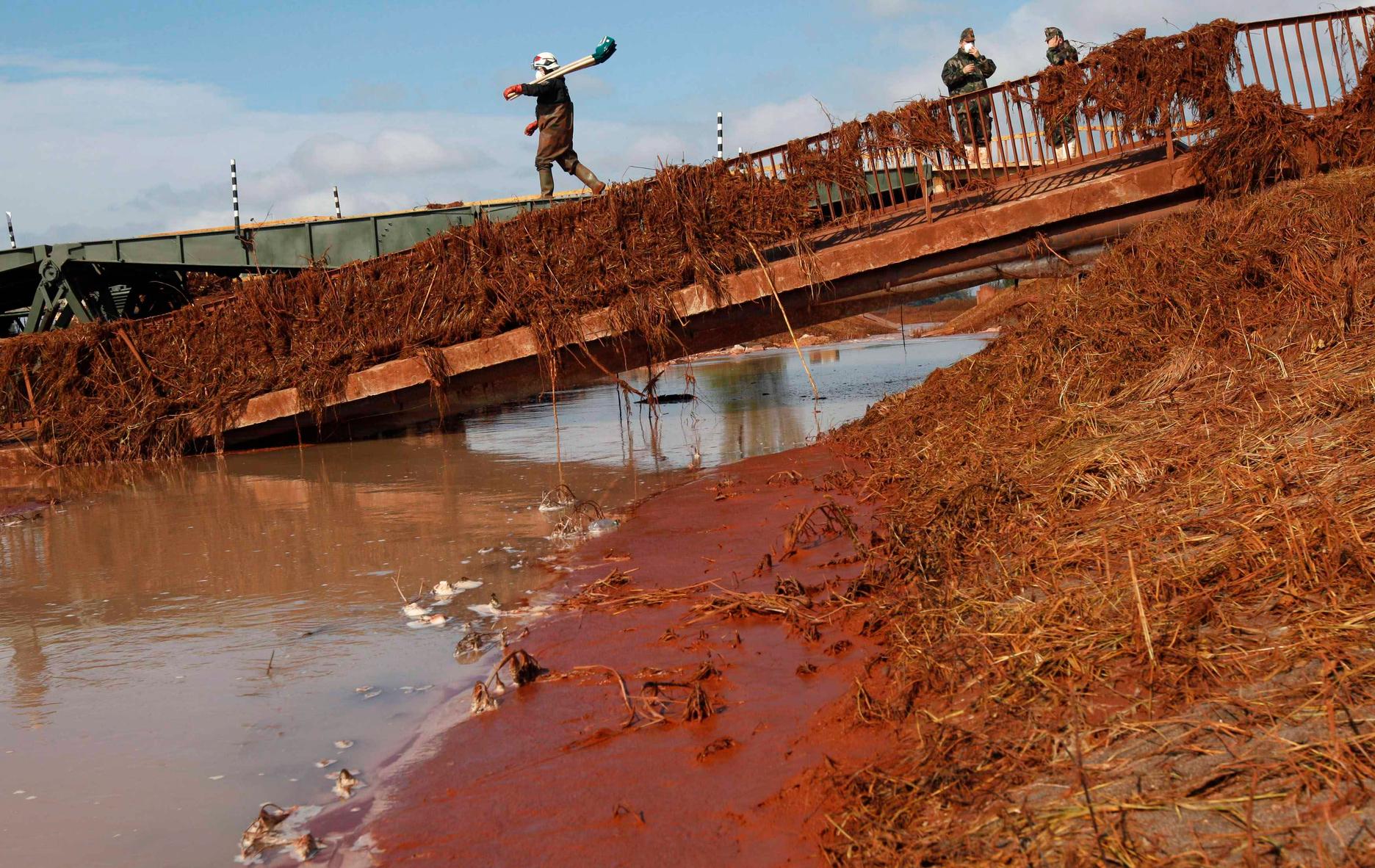 L'écosystème du Danube menacé par les boues rouges
