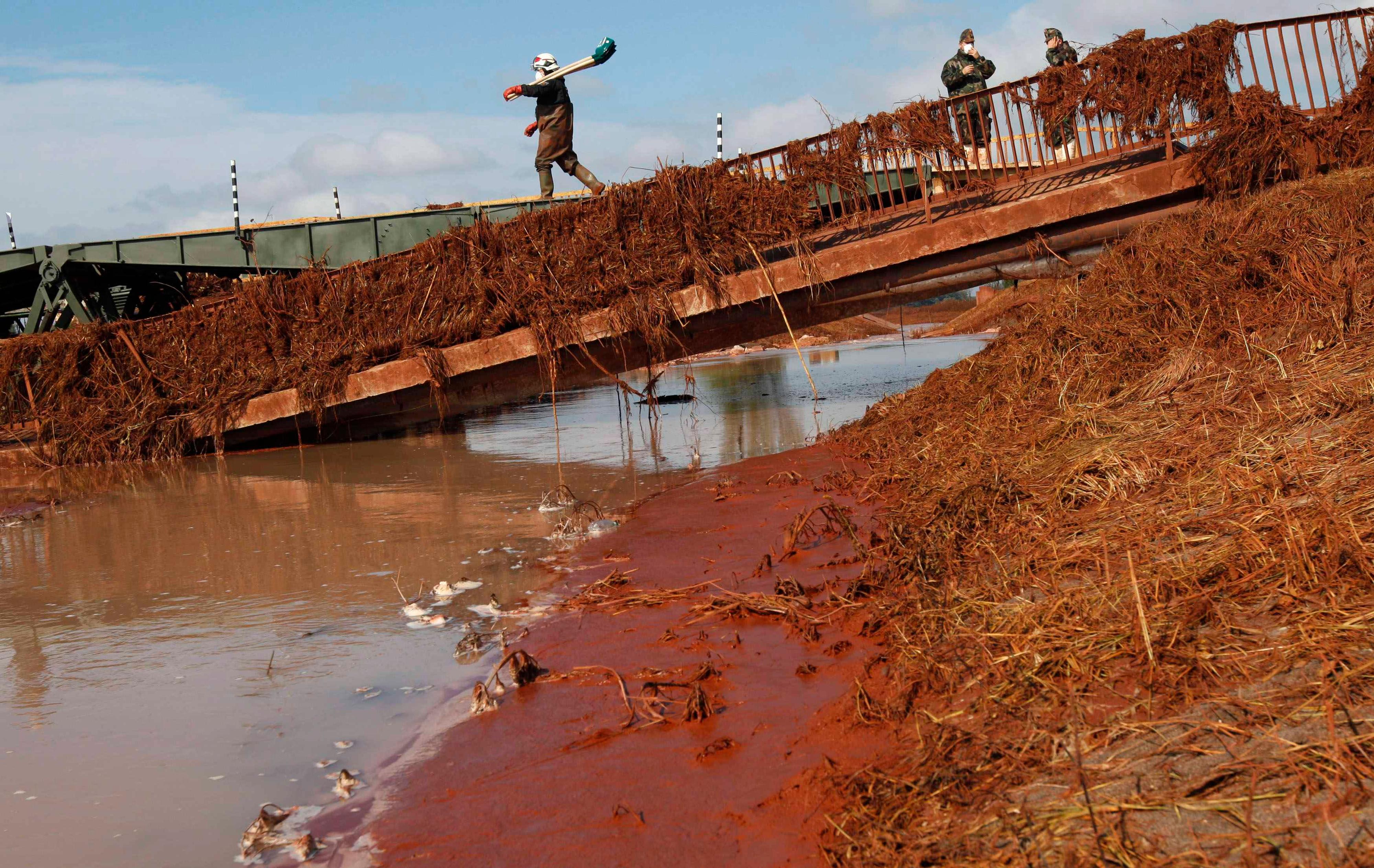 L'écosystème du Danube menacé par les boues rouges