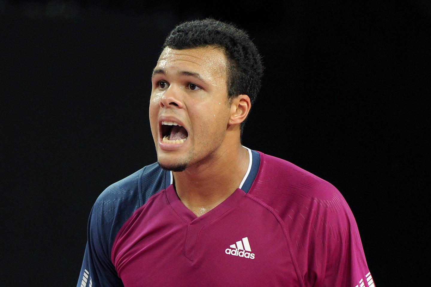 Coupe Davis : Tsonga forfait pour Autriche-France