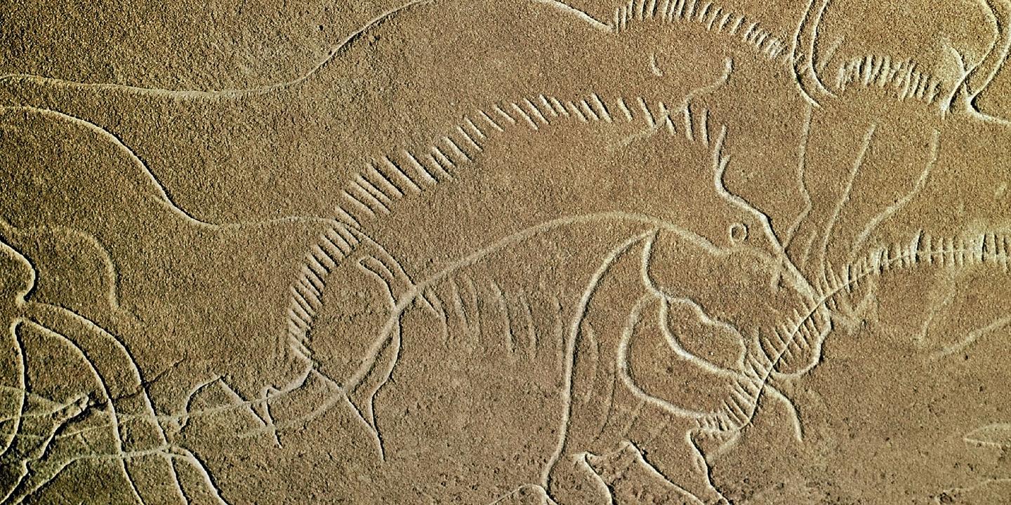 La grotte de Cussac s'ouvre enfin