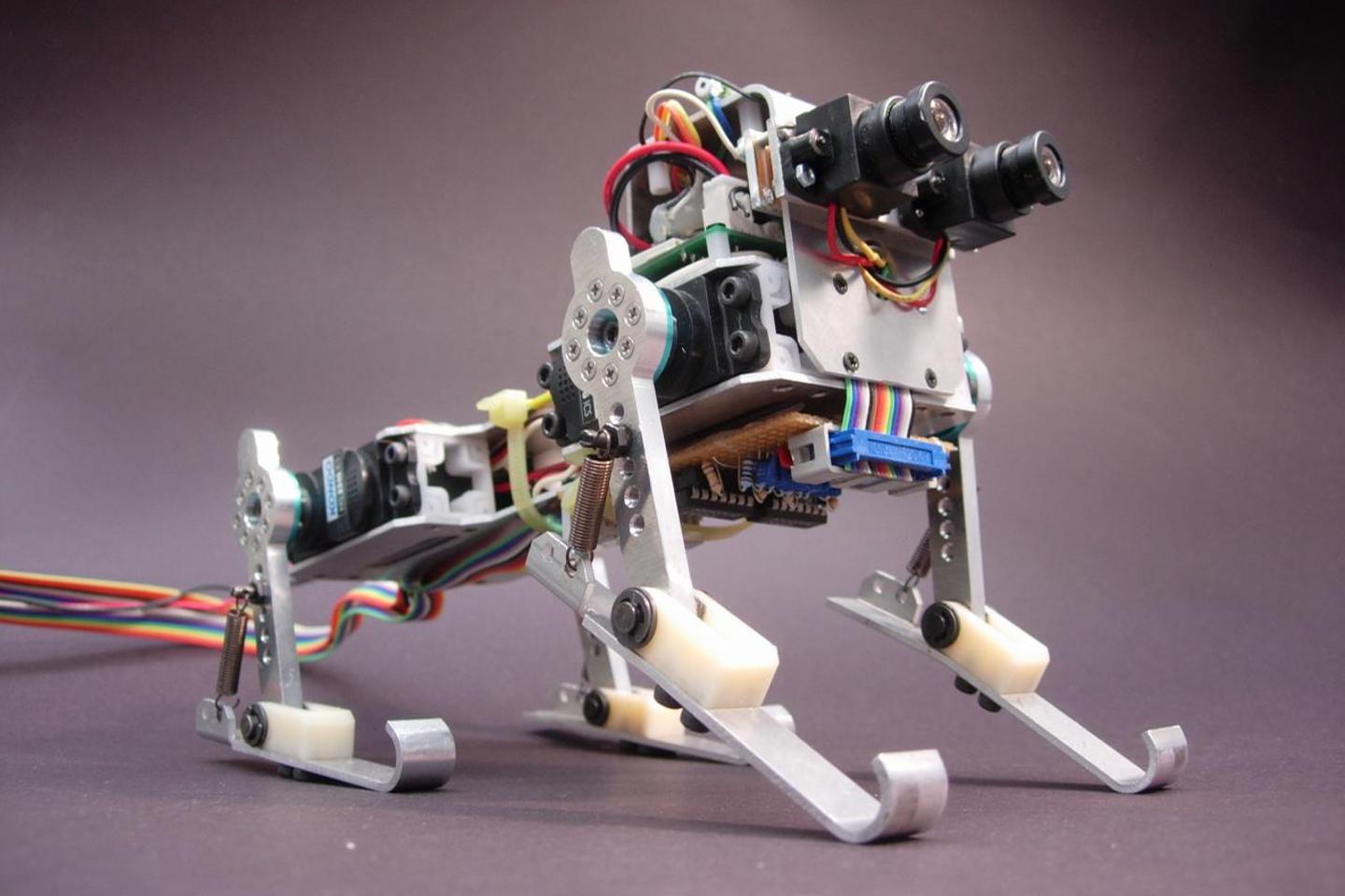 La forme des robots à venir