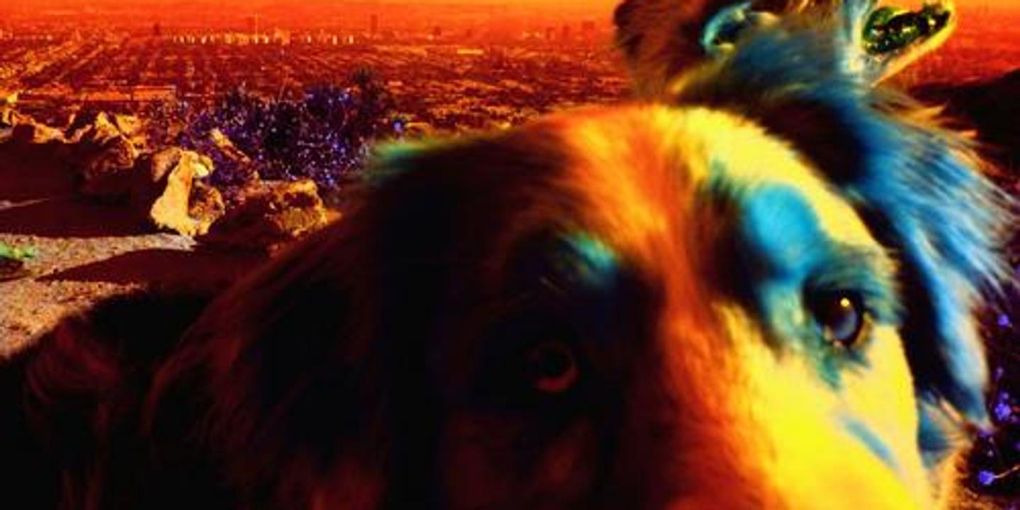 La dystopie, c'est quoi