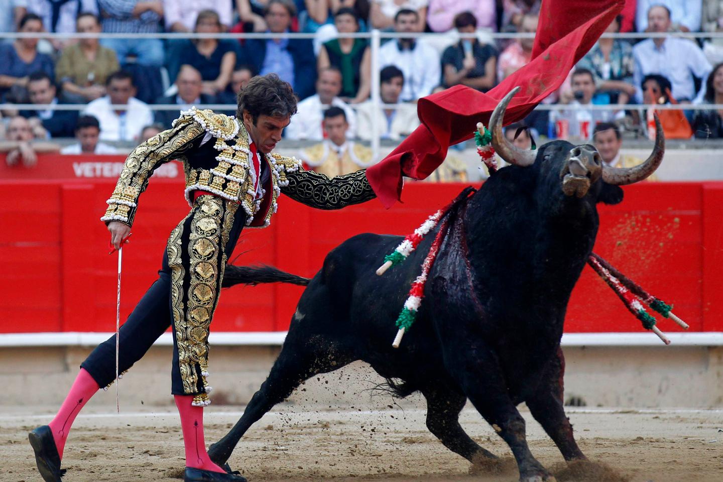 La corrida jugée conforme à la Constitution