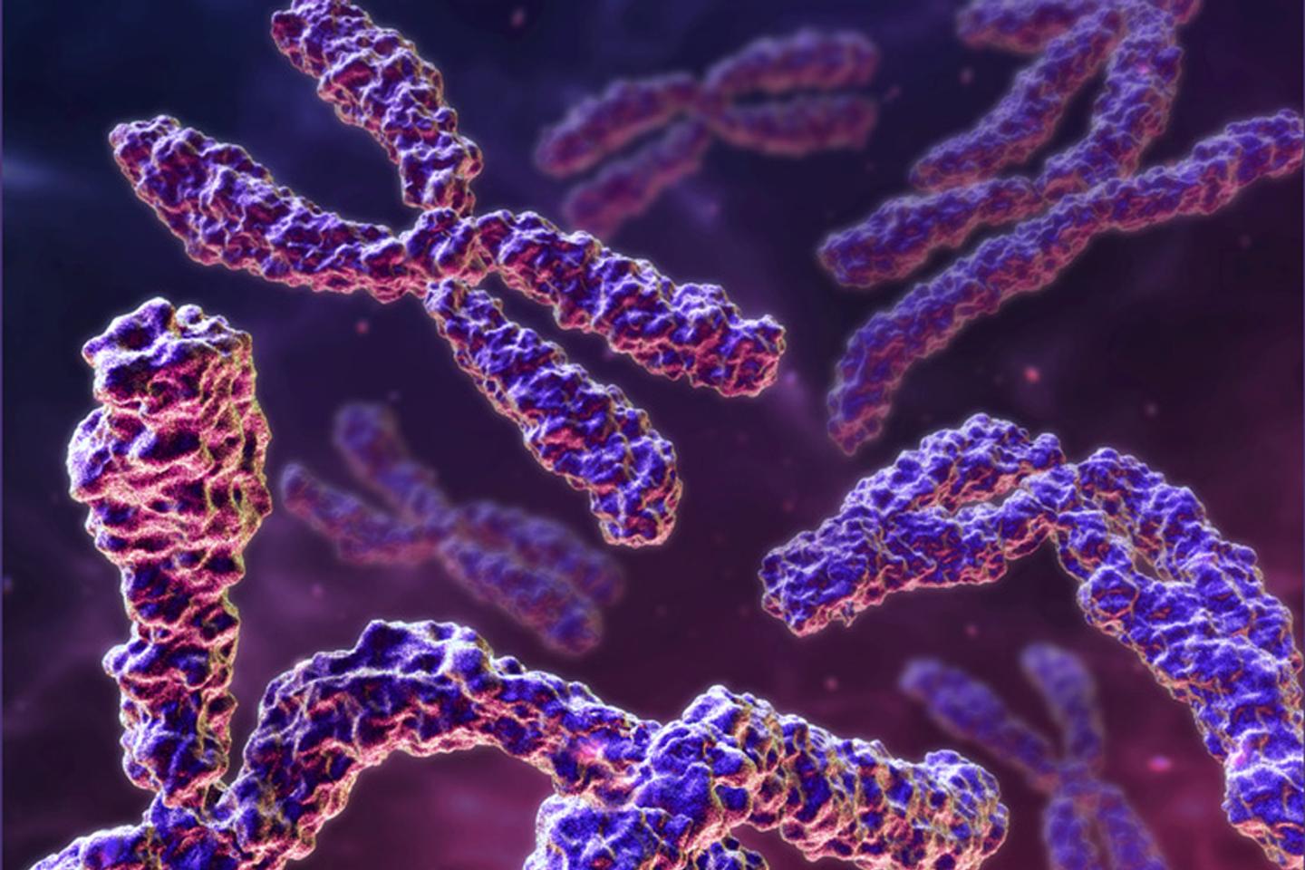 L'épigénétique, l'hérédité au-delà de l'ADN