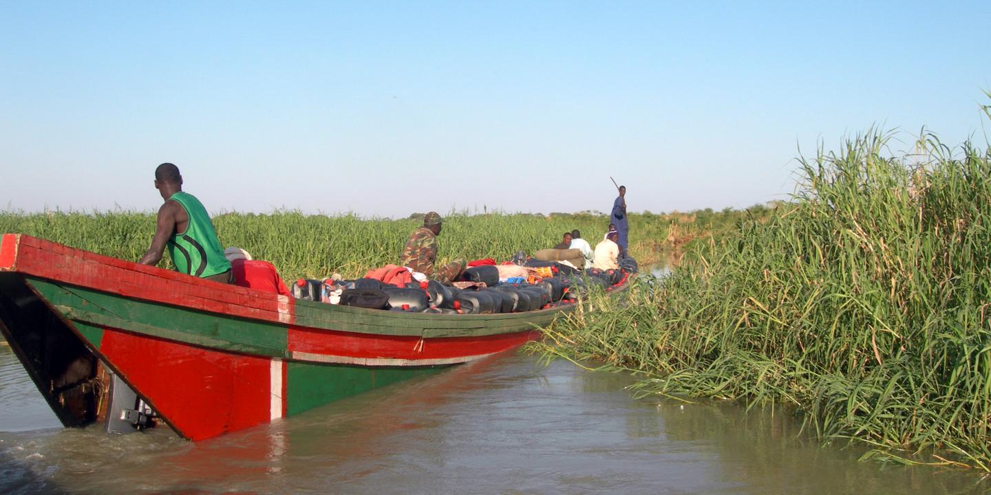 Sur le lac Tchad, au Niger, les anciens pêcheurs se sont tournés vers l ...