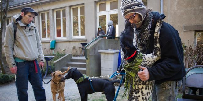 La relation entre l’homme et son chien, un subtil moyen de réinsertion ...