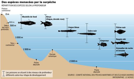 Bataille scientifique autour de la pêche profonde