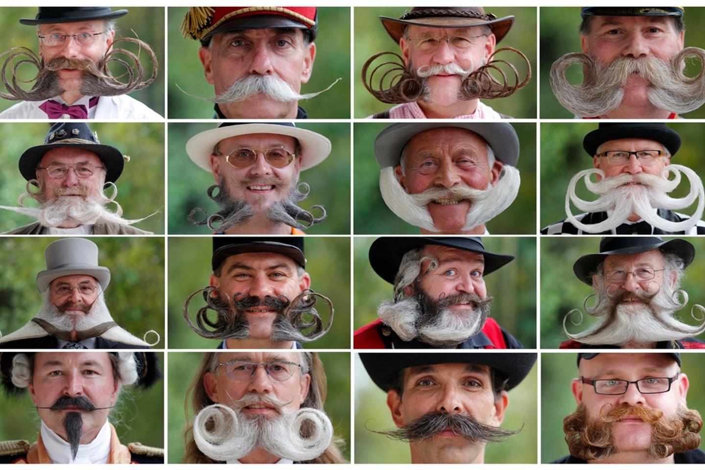 Qui a la plus belle moustache