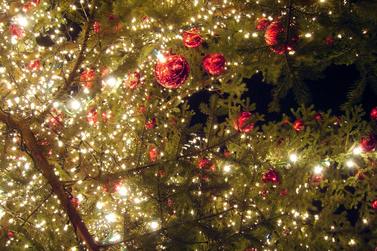 Pour un Noël (un peu) plus vert