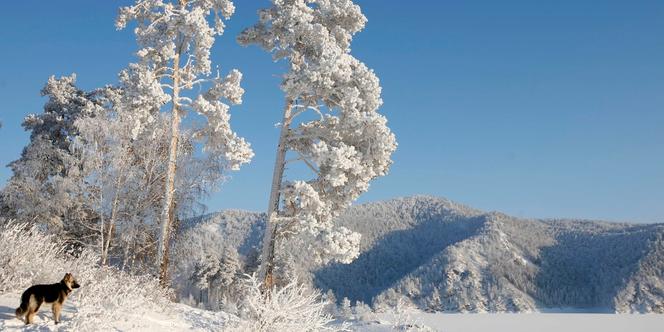 Une importante vague de froid sévit en Russie