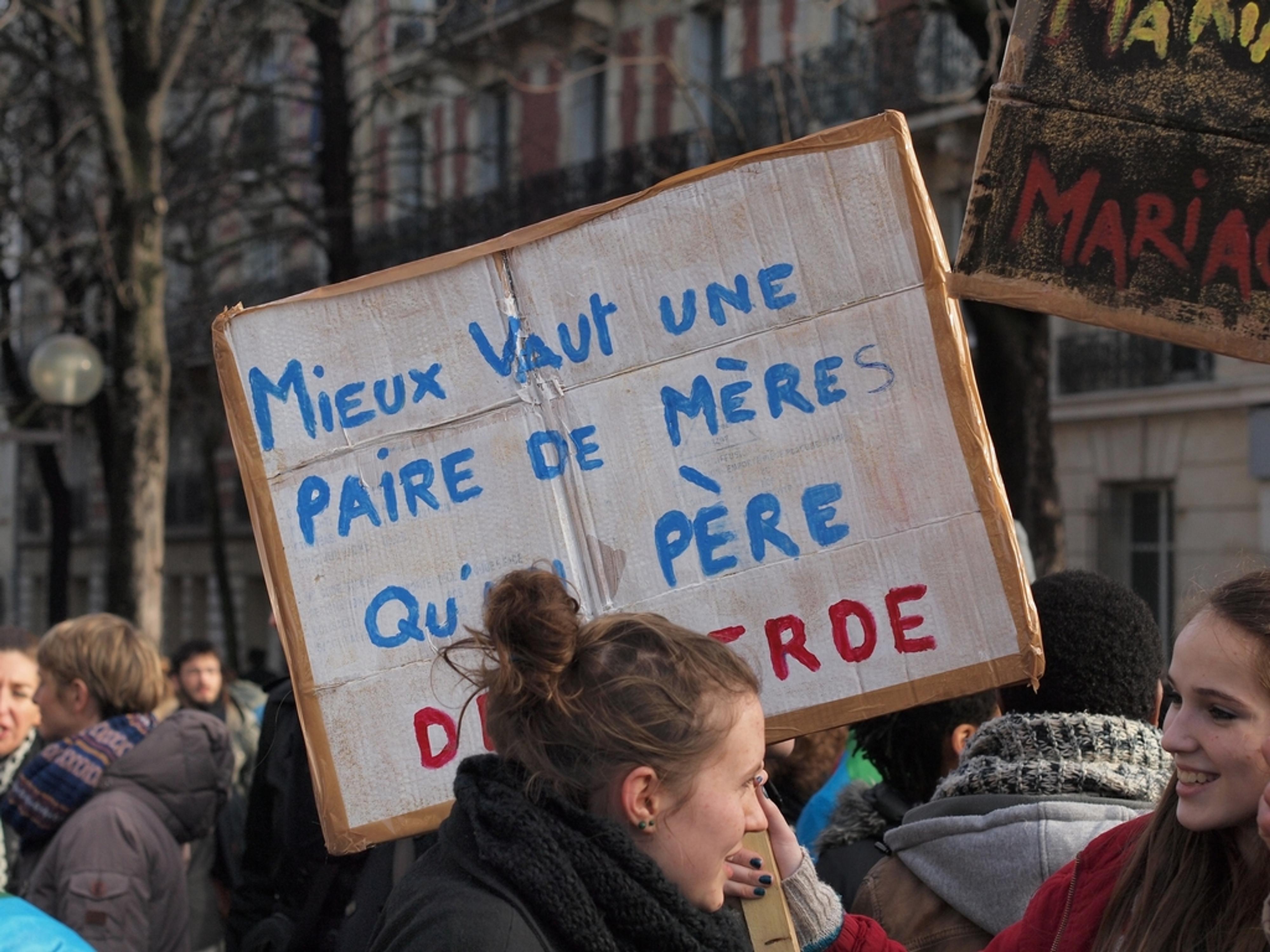 "Mariage pour tous" : entre 125 000 et 400 000 personnes défilent à Paris
