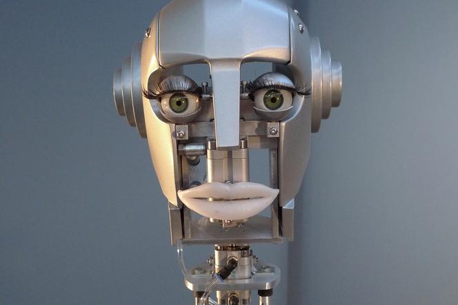 Le robot bon, le robot brute et le robot truand