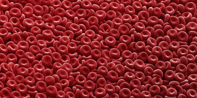 Les hémophiles mettent des mots sur les maux