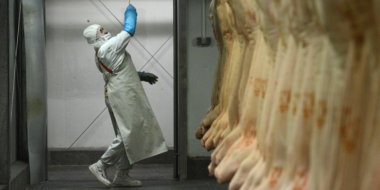 Les Etats-Unis vont autoriser les premiers abattoirs de chevaux depuis 2007