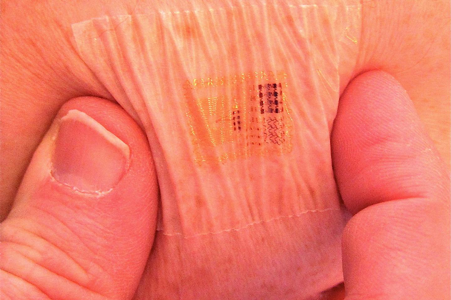 Un check-up avec une puce sur la peau